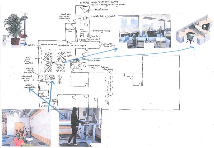 Lab vision – Balanced You